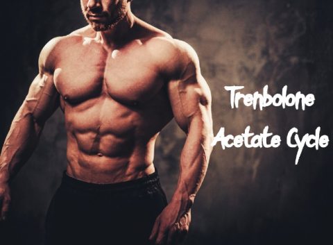 Some Interesting Facts About Trenbolone You Don’t Want To Miss ...
